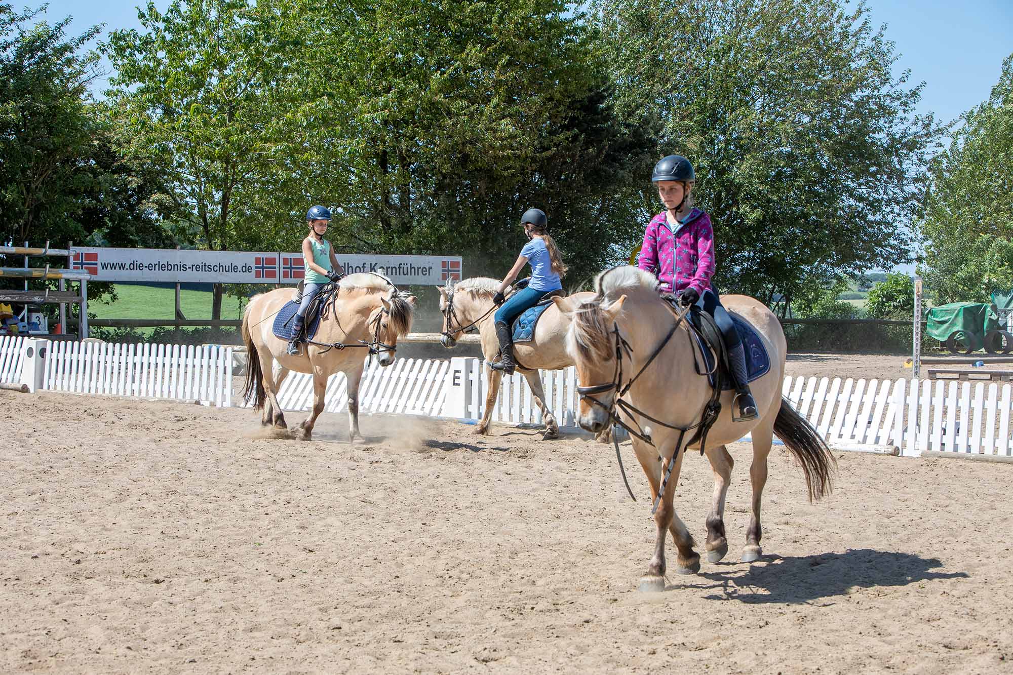 Reitschule In Der Nhe